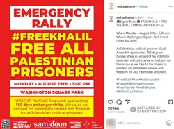 Frances Hamed - Canary Mission